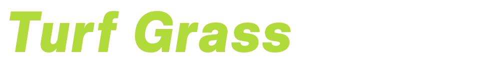 Turf Grass Forum
